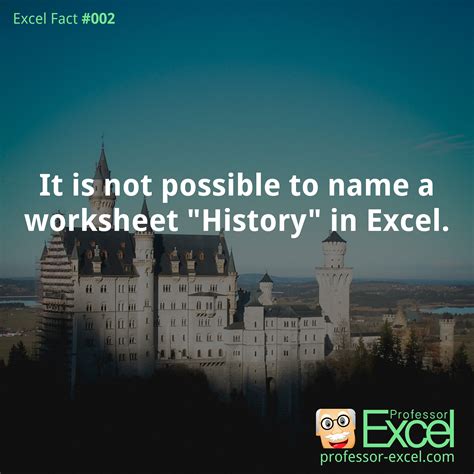 ExcelFact History Professor Excel