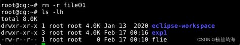 linux操作系统基本命令的使用 linux系统基本使用实验 csdn博客