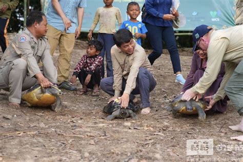 «អណ្តើកហ្លួង១៥ក្បាលត្រូវបានលែងចូលក្នុងជម្រកធម្មជាតិនៃប្រព័ន្ធព្រែកស្រែអំបិល សុីសុីថាមស៍