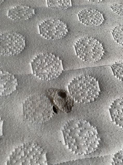 Cama 2p Topper Matuttera