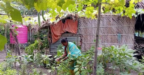 Dhaka Tribune On Linkedin How Brac Ultra Poor Graduation Program