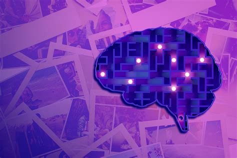 Sunalei Overlooked Cells Might Explain The Human Brains Huge Storage Capacity