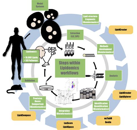 Decoding The Lipidomics Revolution Lifs Tools Leading The Way