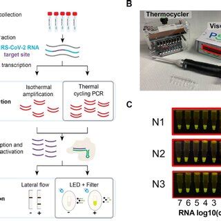 Cas13based Methods And Detection Of SARSCoV2 RNA Using Cas13based