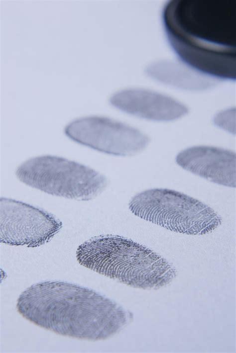 Introduction To Biometrics Blog Bertillonlabs
