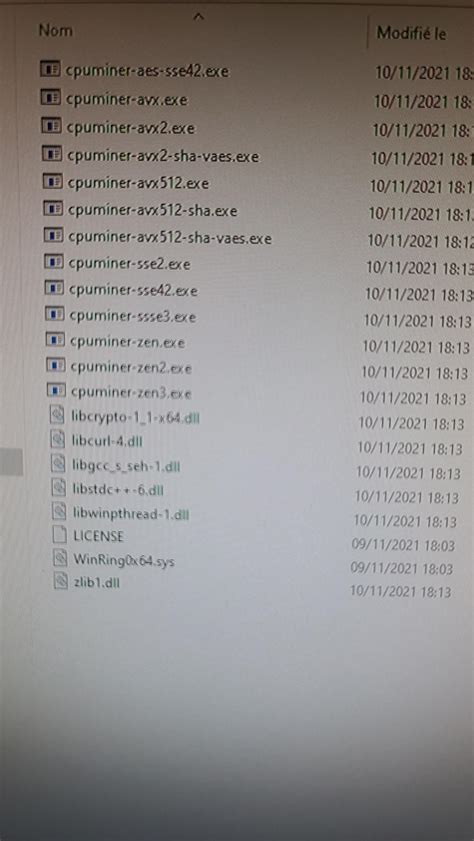 No Bat File Even If The Option To Hide Known File Is Unchecked R Raptoreum