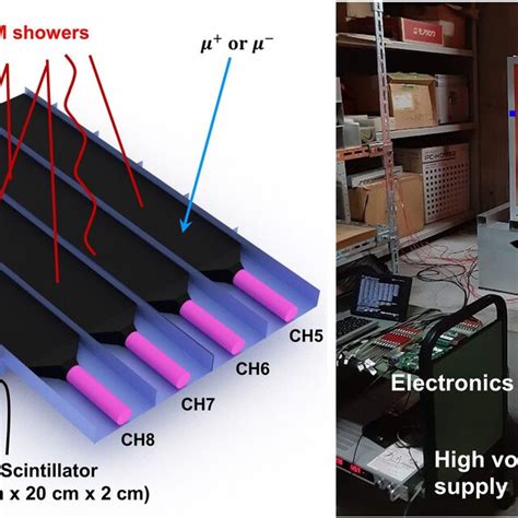 Detector Setup Left Schematic Illustration Of The Detection System Download Scientific