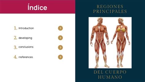 Cephalic And Cervical Region Bones Of Cranium And Face Eyes Nose M Genially