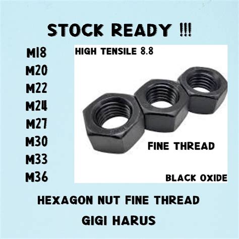 Fine Thread High Tensile Hex Nut M18 M20 M22 M24 M27 M30 M33 M36
