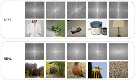 Dft Magnitude Spectrum For Fake And Real Images Has Discriminative