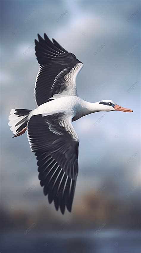 Migratory Birds Day Migration Background Wallpaper Image For Free