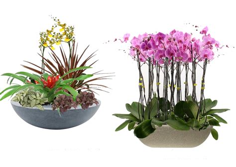 Кашпо с автополивом мифы и реальность