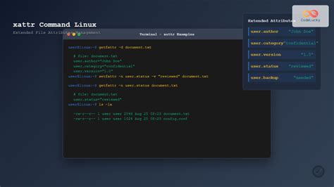 Touch Command Linux Create Empty Files And Update Timestamps