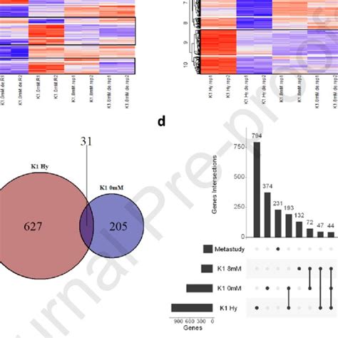 Gene Clustering A B Heatmaps Of Z Scores Based On Vst Normalised