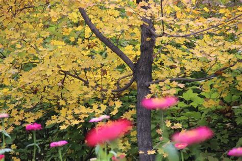 Excel Powerpivot（6）：使用两表间多个一对多的关联关系 知乎