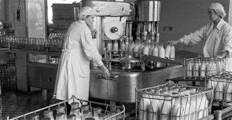 მართალია რომ რძე იყო უფრო გემრიელი და ნატურალური საბჭოთა კავშირის დროს