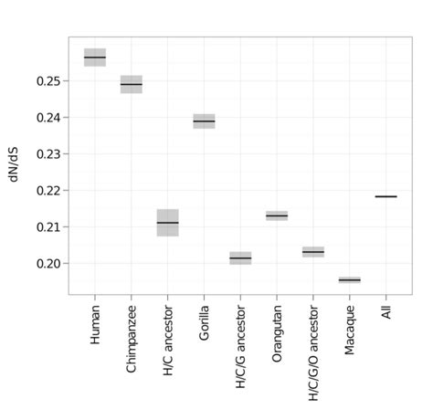 figure sf8 5 global dn ds values in five primate species genome wide