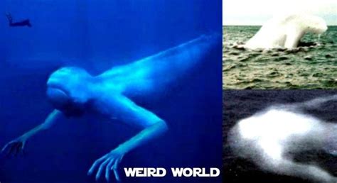 Ningen Modern Legend Of A Bizarre Japanese Cryptid Behold The