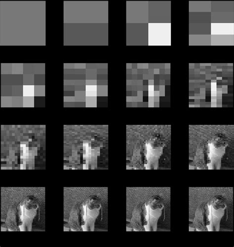 Series Of Approximation Coefficients Of The Wavelet Transform