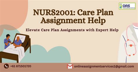 Nurs2001 Care Plan Assignment Help Online Assignment Services