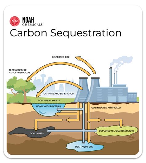 Co2 Sequestration To Address The Greenhouse Gas Problem Blog Noah Chemicals