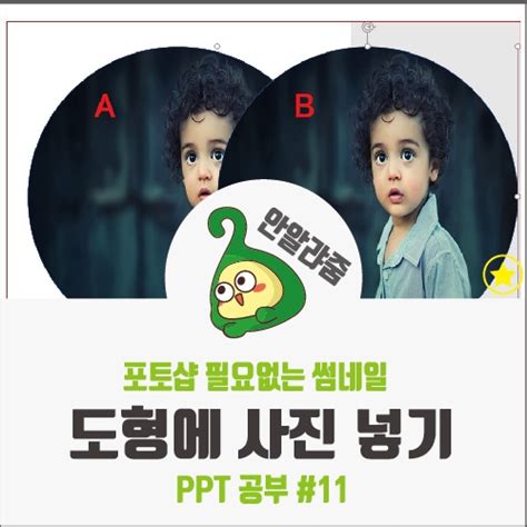 안알랴줌 Ppt 공부 11 파워포인트로 썸네일 만들기 도형에 그림 넣기 포토샵 없이 썸네일 만들기 네이버 블로그