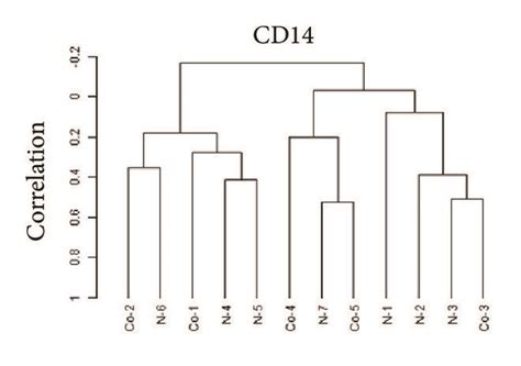 Unsupervised Clustering Analysis Of The Gene Expression Profiles Of