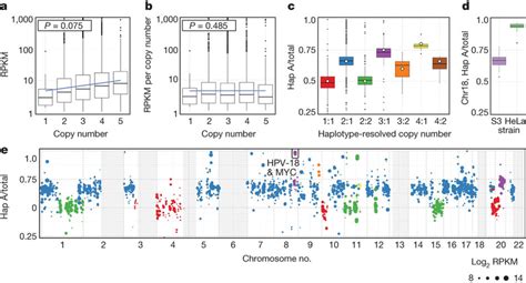 Gene Expression By Copy Number And Haplotype In Hela S3 A Transcript