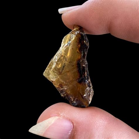 Small Raw Natural Amber Mineral Specimen Unique Fossil Gem