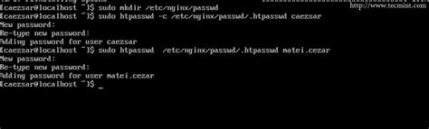 Create Virtual Hosts Password Protect Directories And SSL Certificates Using Nginx Web Server