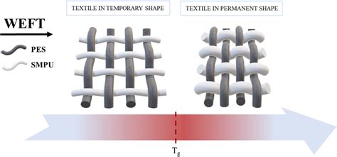 A Simplified Scheme Of The Thermodynamics Of A Plain Weave Fabric Download Scientific Diagram