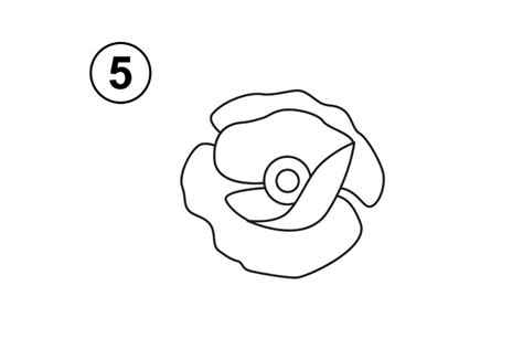 How To Draw A Poppy In Easy Steps