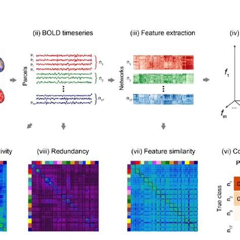 Overview Of Analytic Approaches To Study The Functional Interaction