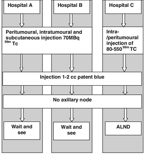 Sentinel Node Protocol For Each Participating Hospital Download Scientific Diagram