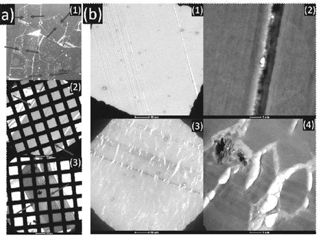 A Optical Microscopy And Tem Micrographs Showing Transversal Download Scientific Diagram