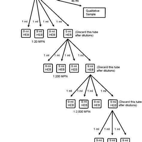 Schematic Representation Of MPN Procedure Utilized In This Study Using HEB Download
