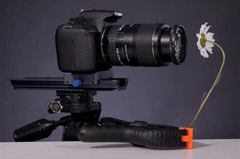 مهم ترین تجهیزات عکاسی ماکرو کدامند؟ شوت شات