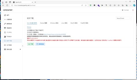 softwares openfrp 开放映射免费、高效、便捷 欢迎使用全新 openfrp next updates