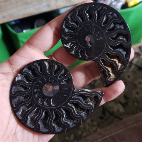 128xx Ultra Rare Mineral Pseudomorph Hematite After Magnetite Large 2 8 Argentina Museum