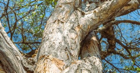 What Is Vulnerability Management Program A Friendly Guide