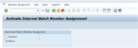 Adding Custom Logic To Sap Batch Numbering System
