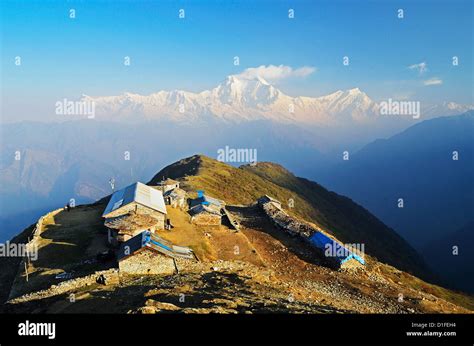 Dhaulagiri Himal Seen From Khopra Annapurna Conservation Area