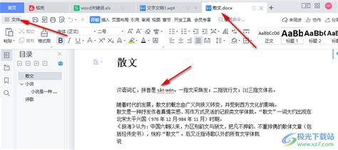 wps word文档怎么删除字下面的红色波浪线 wps word文档删除字下面红色波浪线的方法 极光下载站