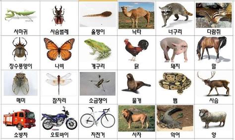 엄마표 만들기 봄카드 Artofit