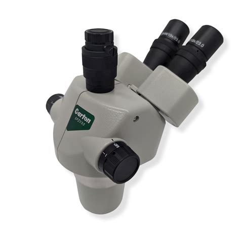 Stereo Vs Compound Microscopes Carton Optical Microscope Canada