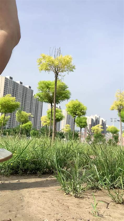 Naked In Beijing XHamster
