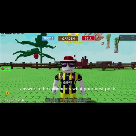 Whats Your Best Pet1 Youtube