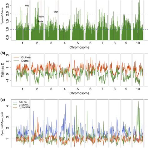 Genome‐wide Pattern Of Nucleotide Diversity In Durra Accessions