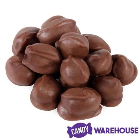 Brachs Double Dippers Milk Chocolate Covered Peanuts 12 Ounce Bag Salebestcandyshop