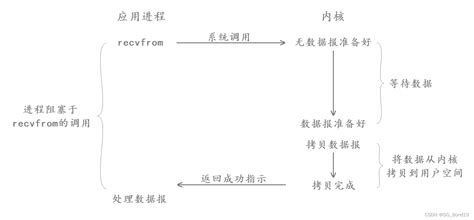 Linux高级iolinux Io Csdn博客